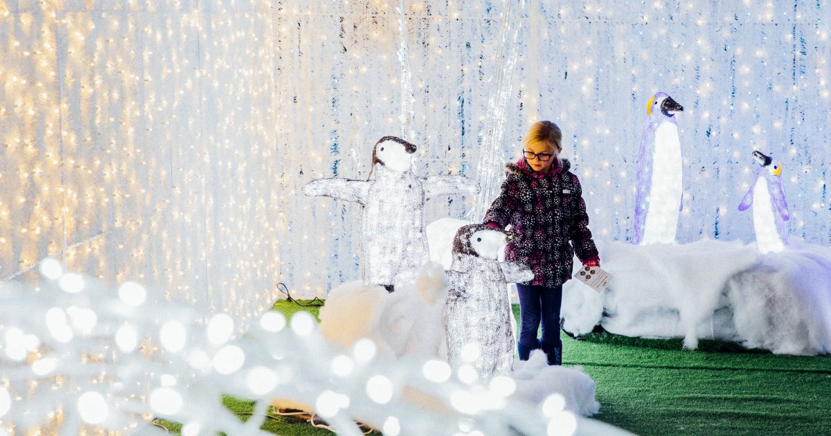 Bright Nights & Noel Holiday Lights Festival | Market Surrey | Discover ...