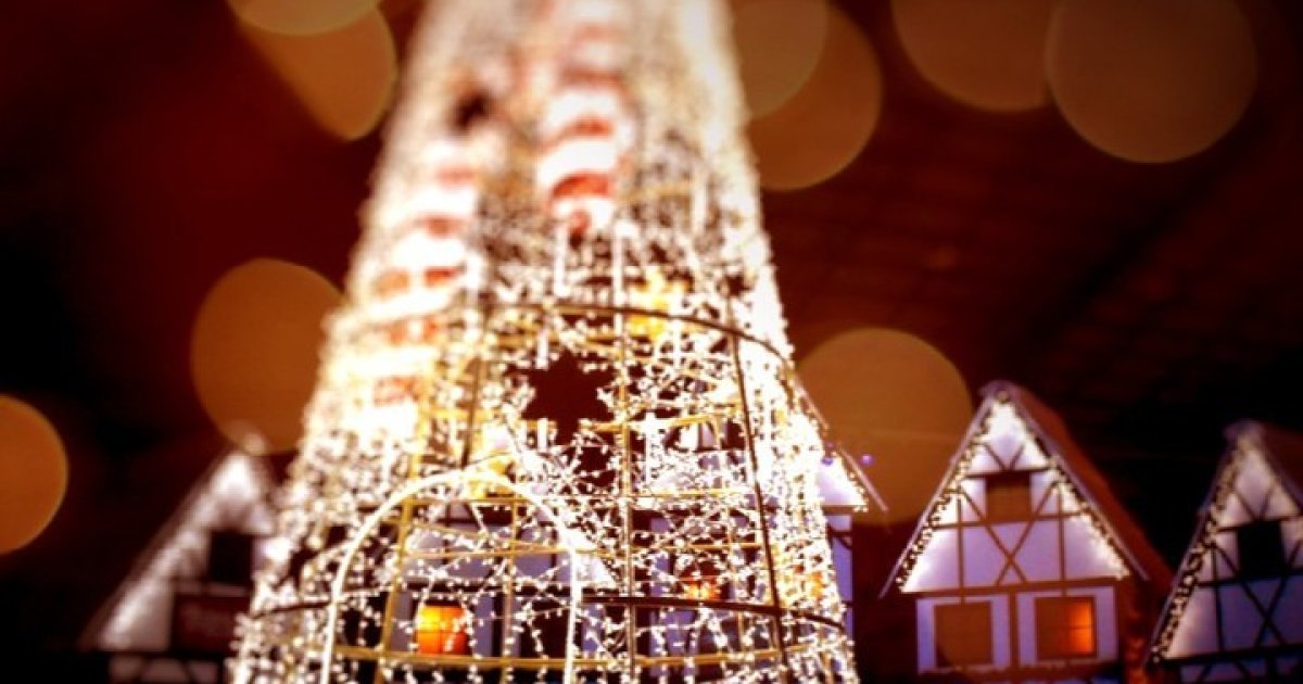 Our Favourite Holiday Lights Displays in Surrey | Discover Surrey BC