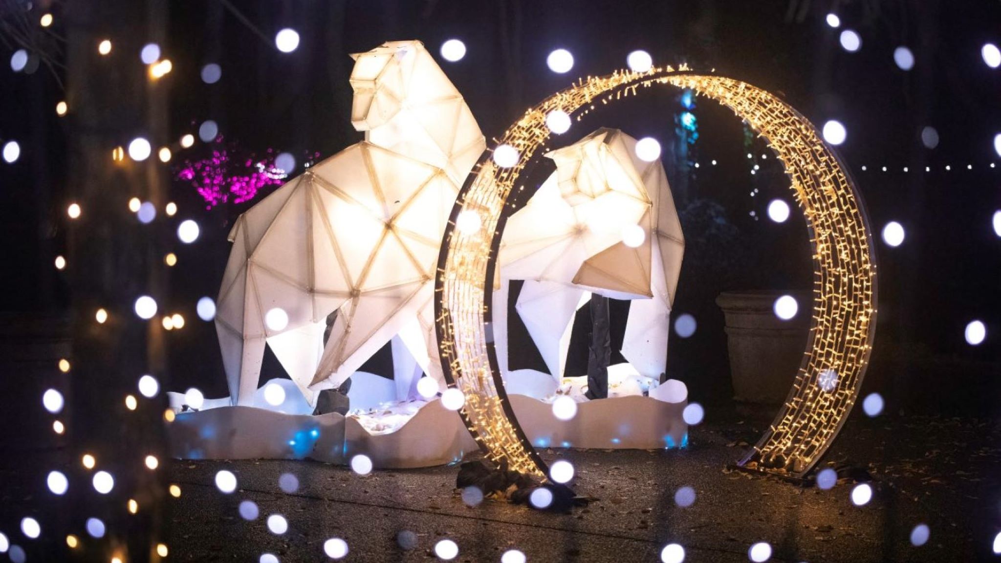 Our Favourite Holiday Lights Displays in Surrey | Discover Surrey BC