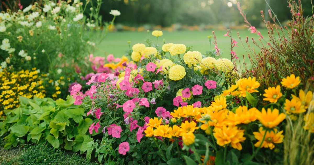 Gardens | Discover Surrey BC